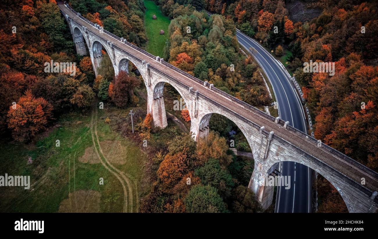 Crossed trees hi-res stock photography and images - Alamy