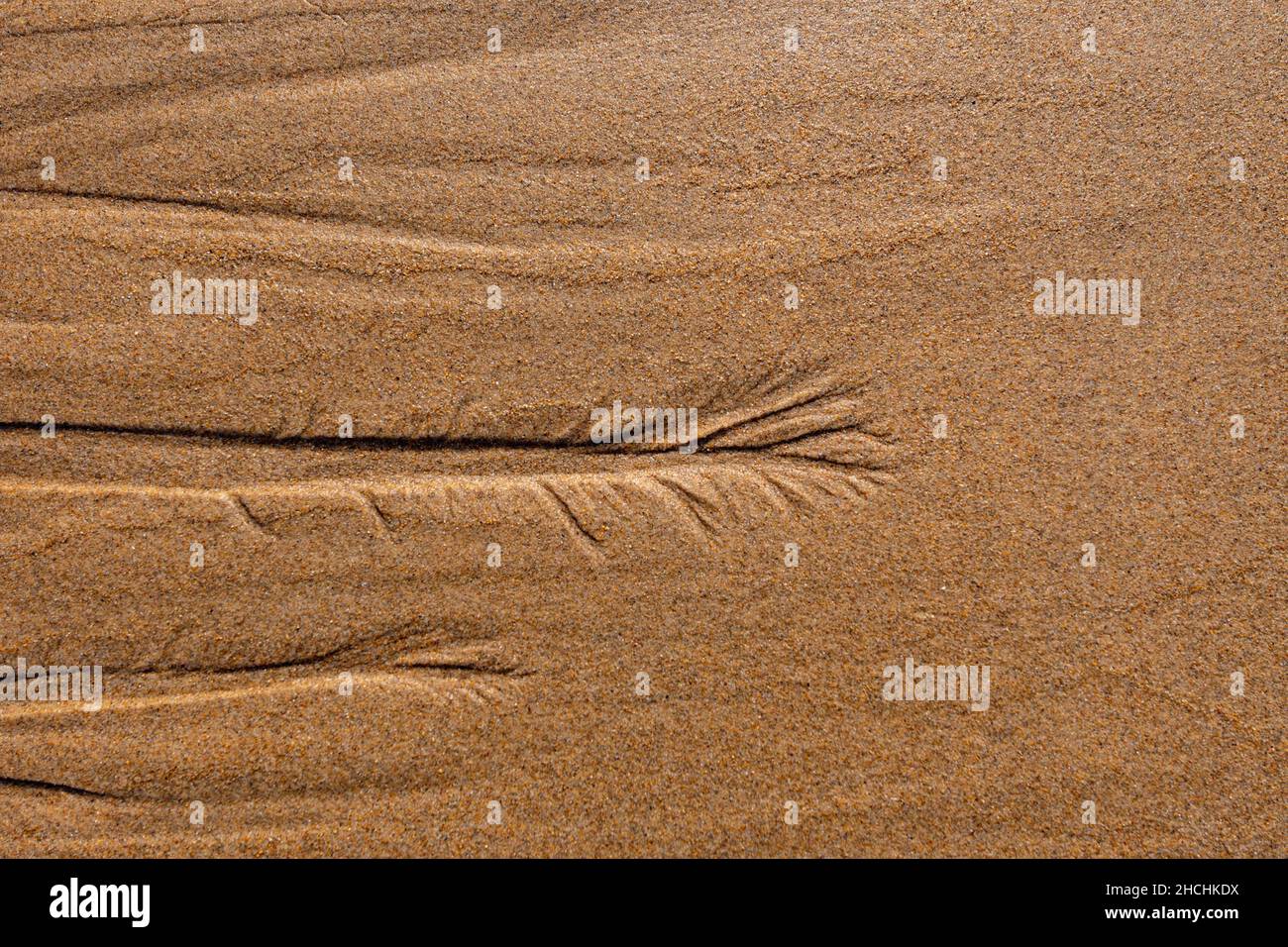 Landscape of Cue beach on the Asturian coast, Spain Stock Photo - Alamy