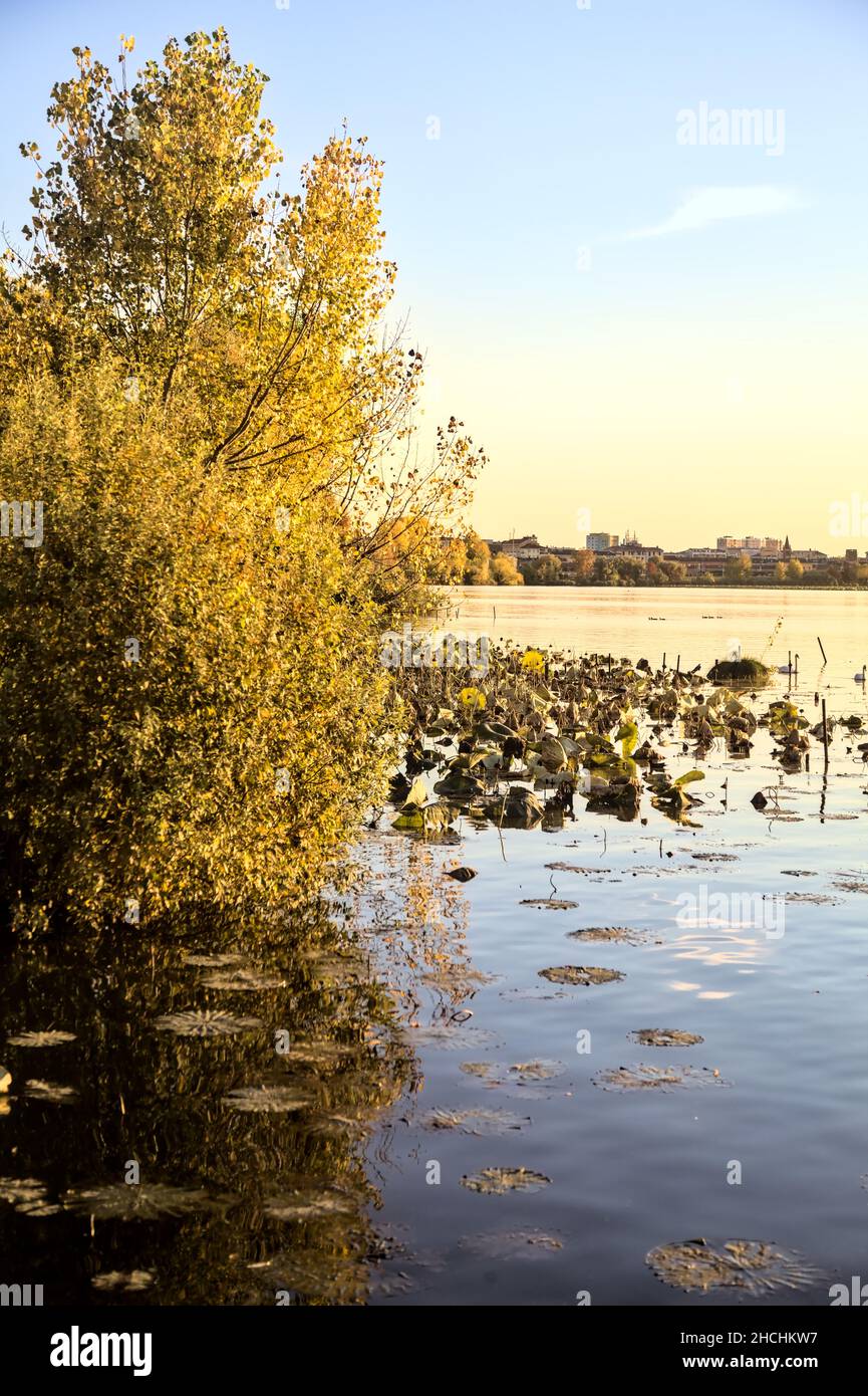 Shore at sunset that stretches on a river Stock Photo - Alamy