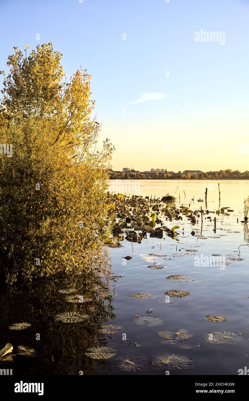 Shore at sunset that stretches on a river Stock Photo - Alamy