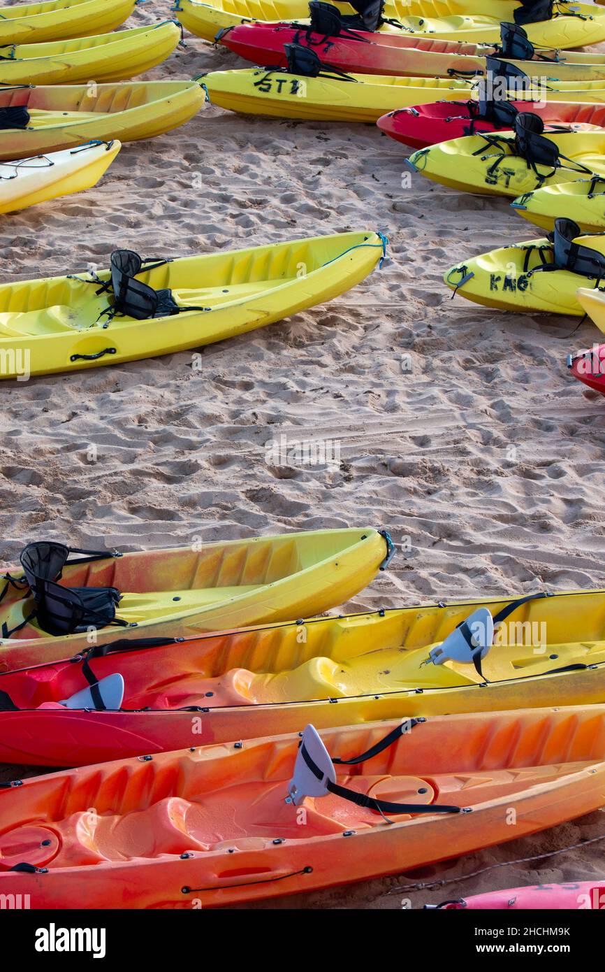 Group of yellow kayaks on the beach sand Stock Photo - Alamy