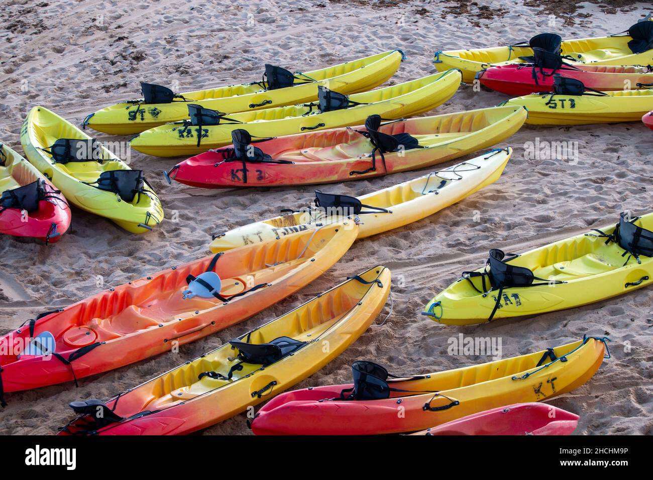 Group of yellow kayaks on the beach sand Stock Photo - Alamy