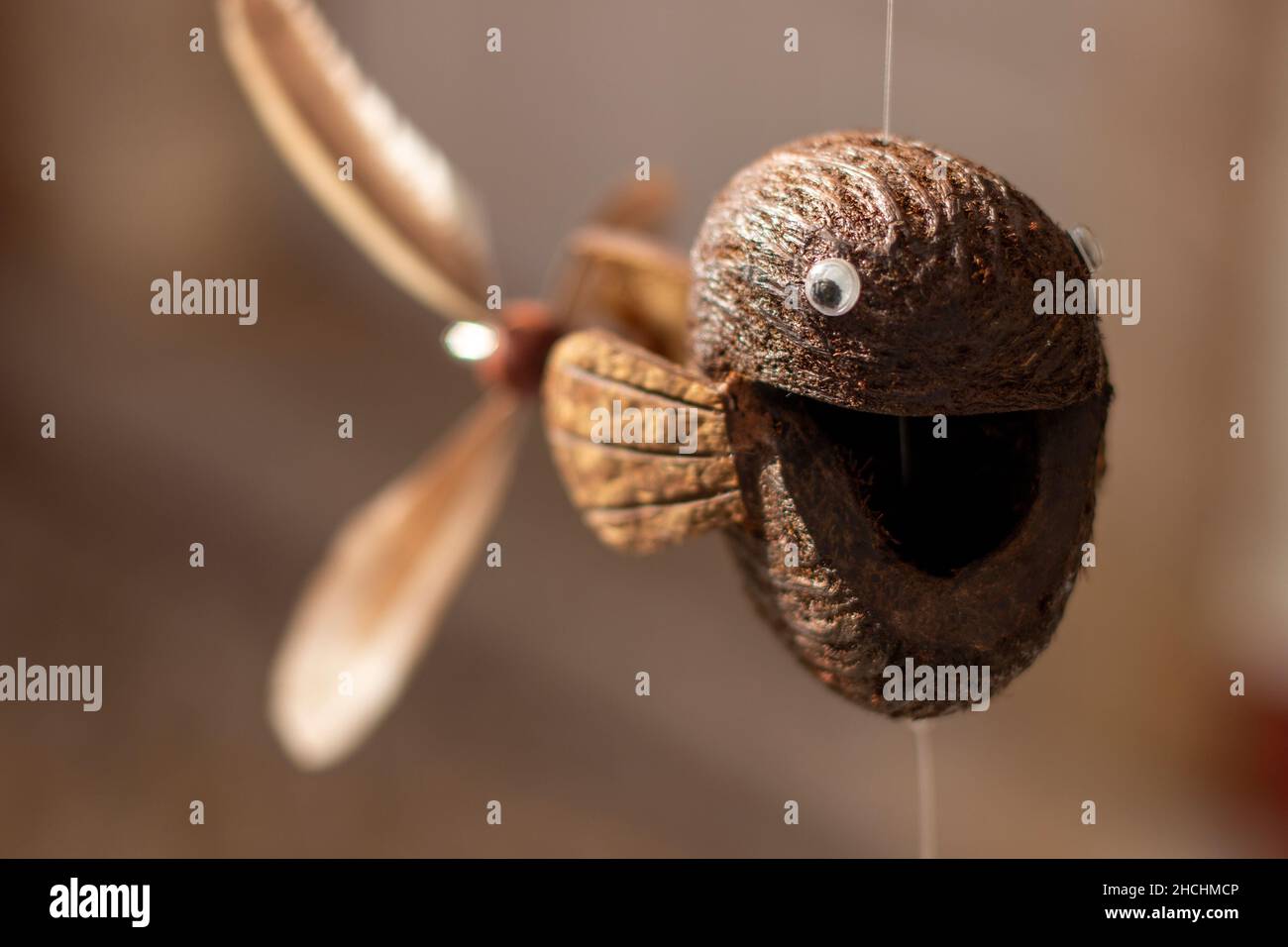 Diy coconut craft hi-res stock photography and images - Alamy