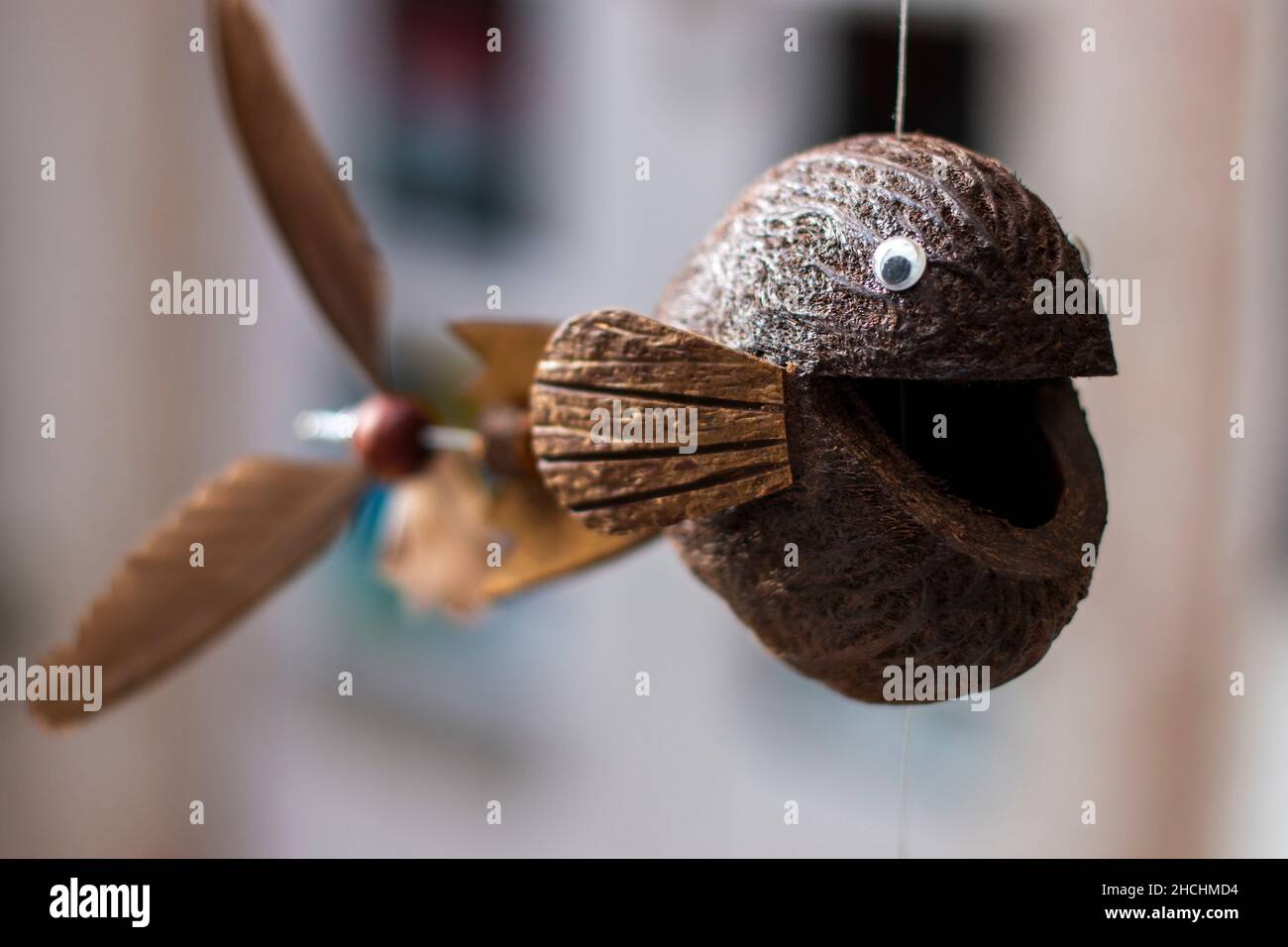 Diy coconut craft hi-res stock photography and images - Alamy
