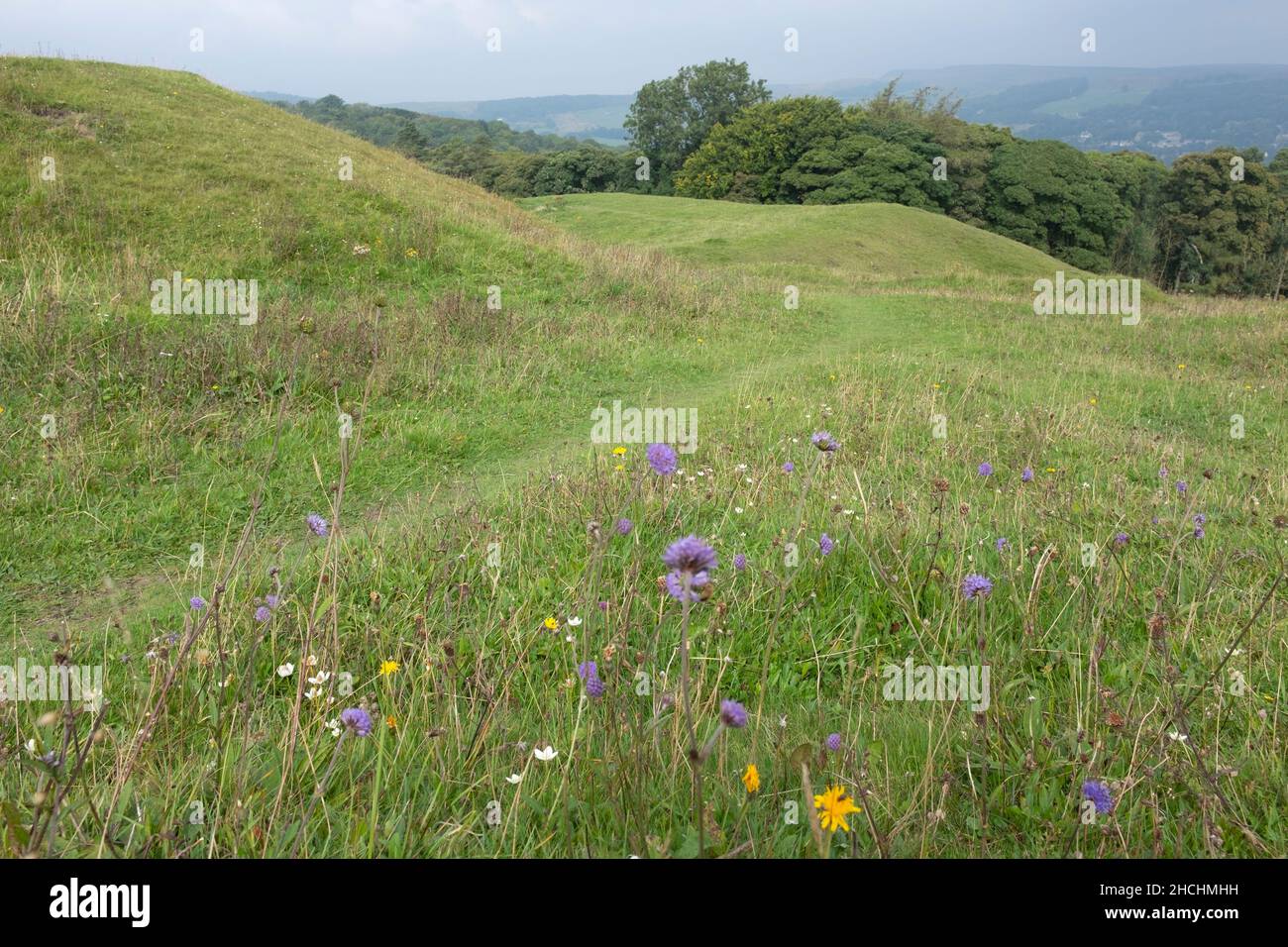Hillside around Solomons Tower, Buxton showing pathways and wild flowers Stock Photo - Alamy
