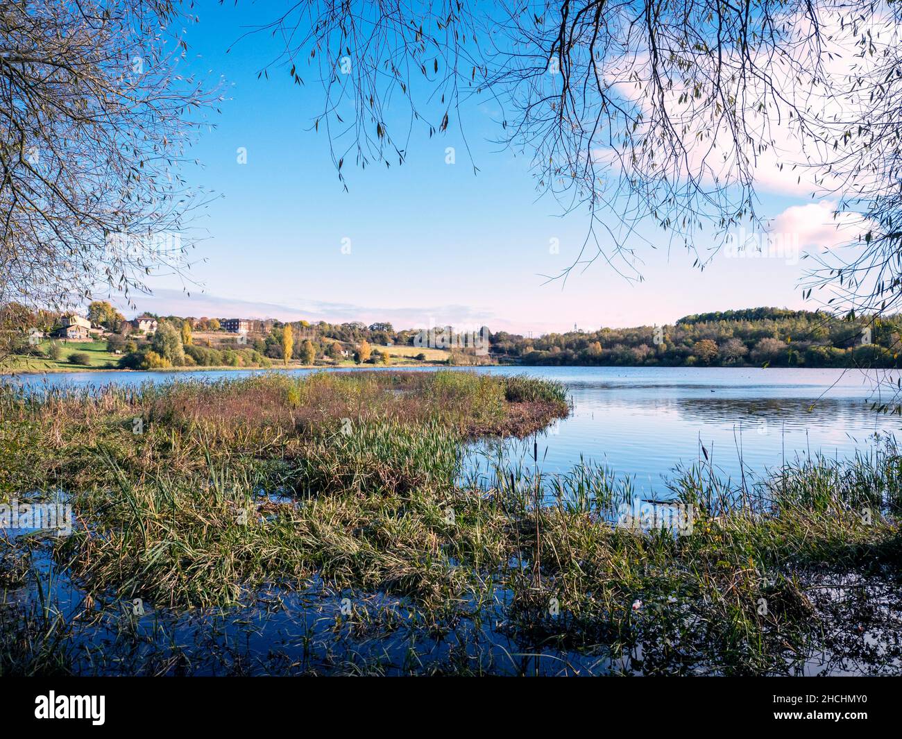 Wetland wetlands hi-res stock photography and images - Alamy