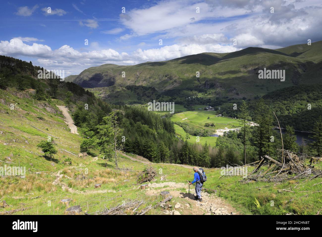 Walker at Raven Crag fell overlooking Thirlmere reservoir; Lake ...