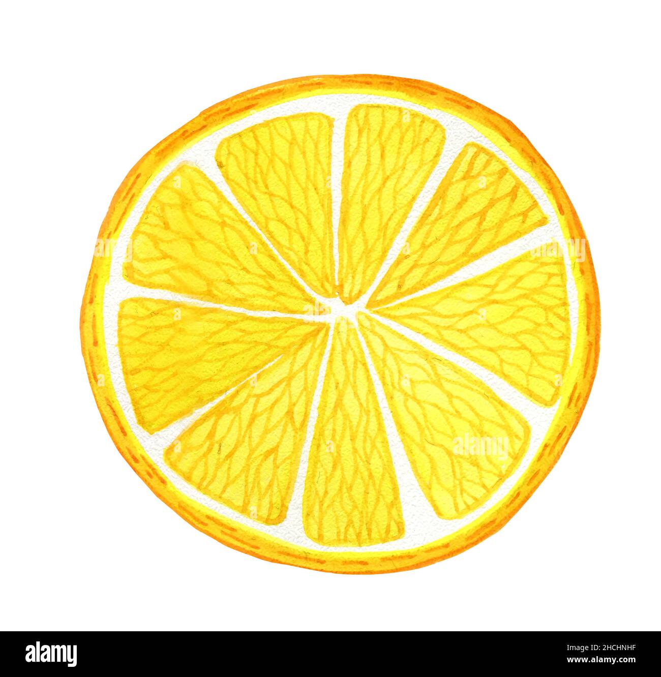 slice of lemon, watercolor illustration vegetarian foods Stock Photo ...