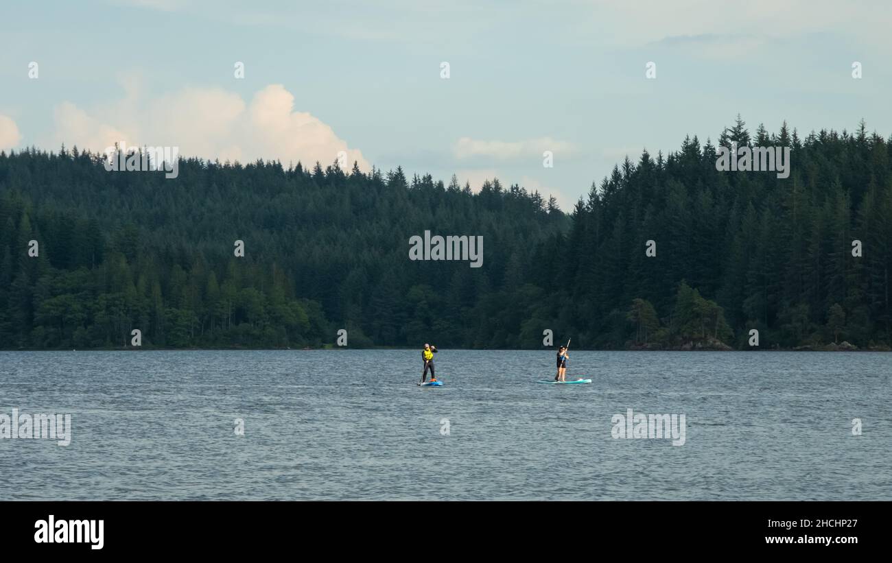 Loch Ard, Scotland - July 25th 2021: Two people paddle boarding on Loch ...