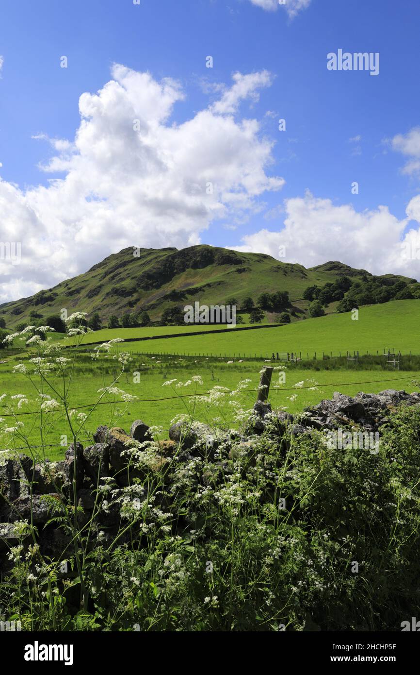View over High Rigg fell, St Johns in the Vale village, near Keswick ...