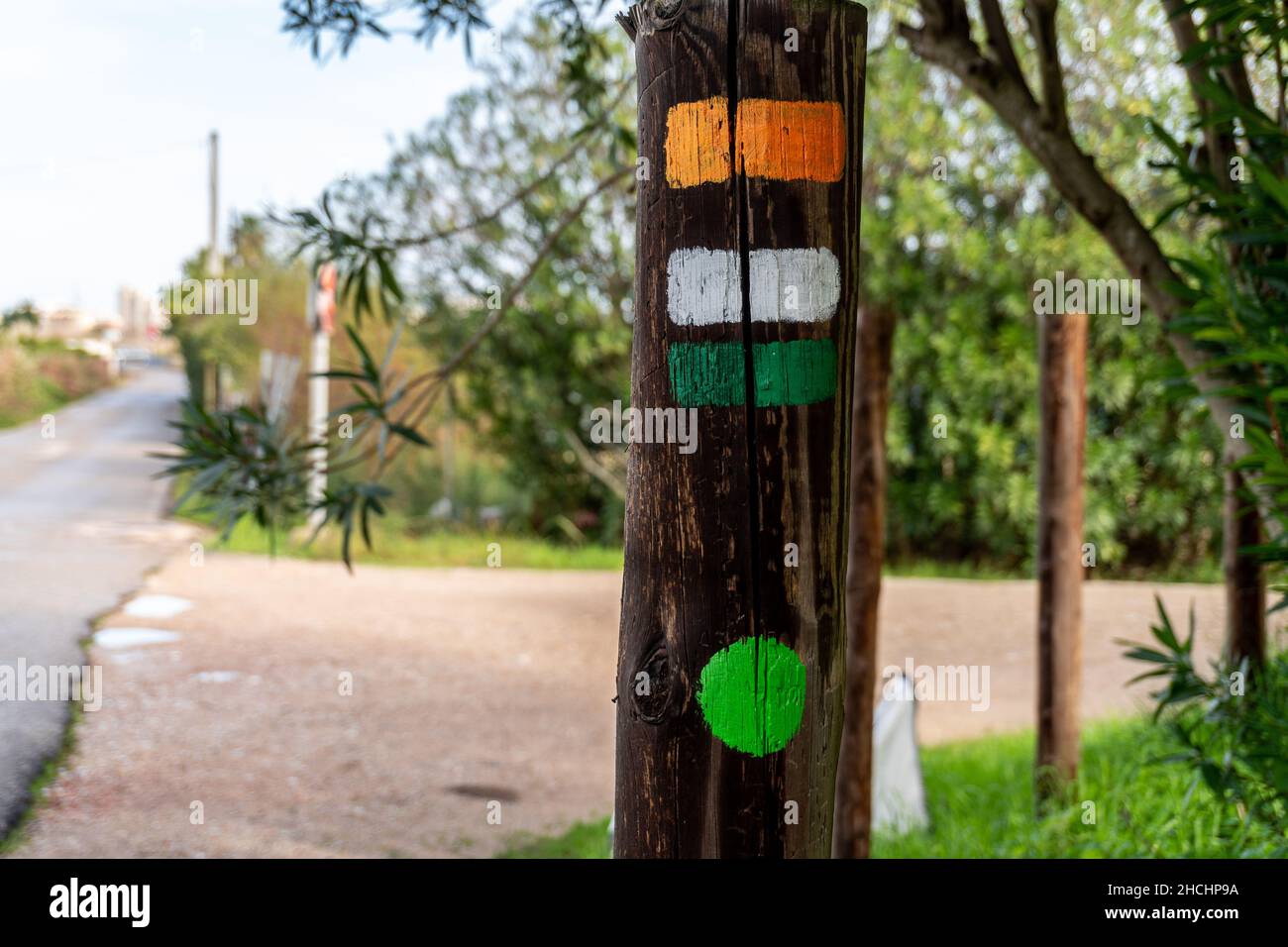 Green and colors hi-res stock photography and images - Alamy