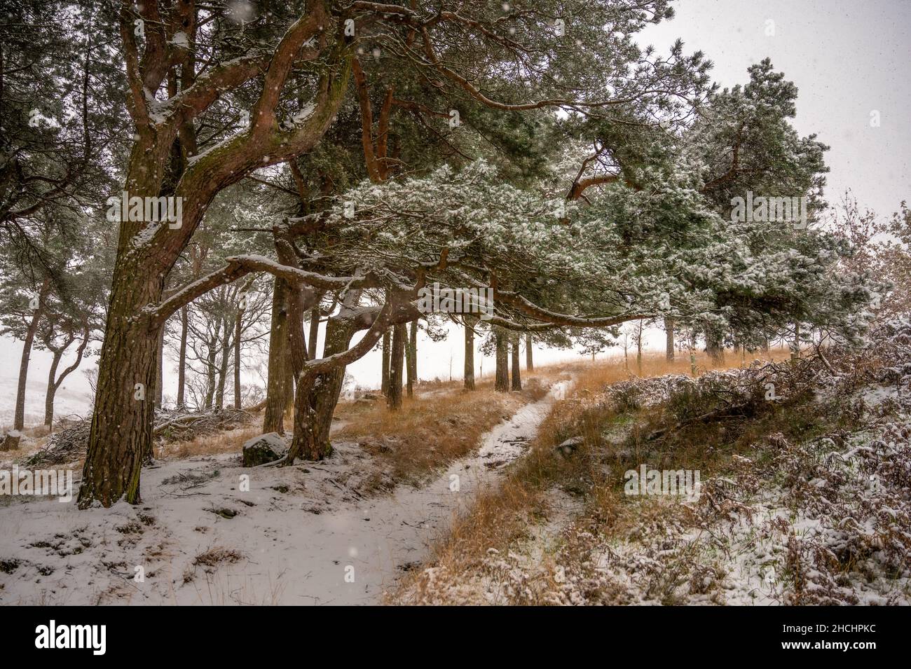 Dovestones hi-res stock photography and images - Alamy