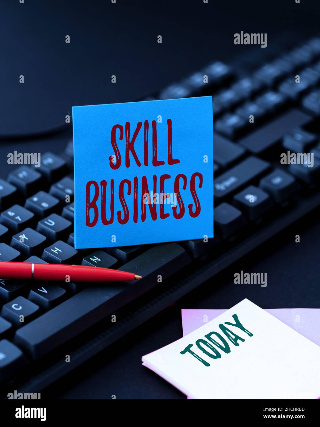 Conceptual display Skill Business. Business overview Ability to handle ... Conceptual display Skill Business. Business overview Ability to handle ...