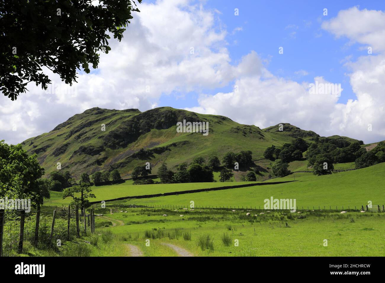 View over High Rigg fell, St Johns in the Vale village, near Keswick ...