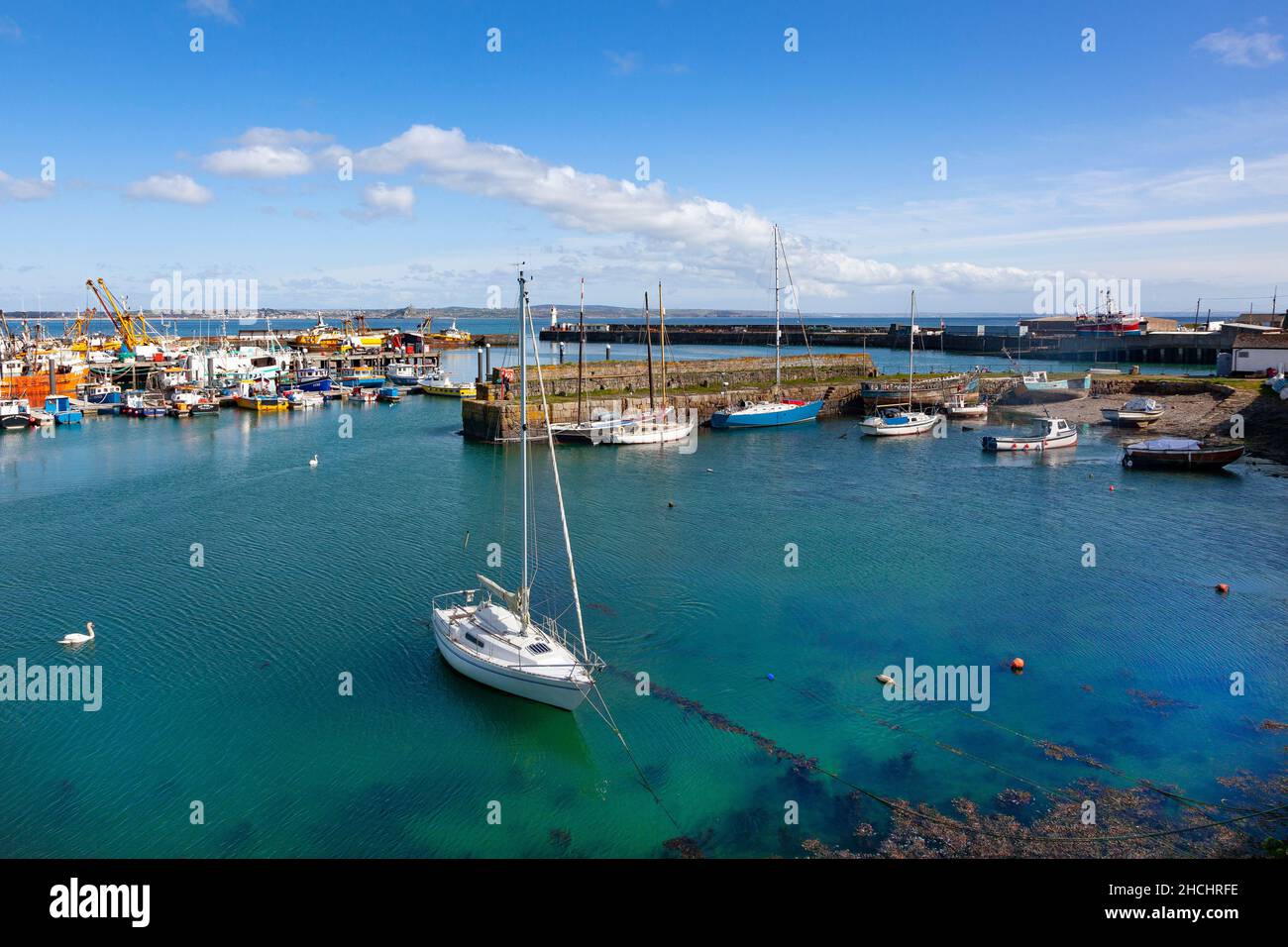 Newlyn history hi-res stock photography and images - Alamy