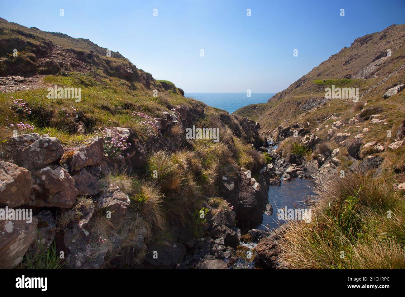 Coastal path lizard peninsula hi-res stock photography and images - Alamy
