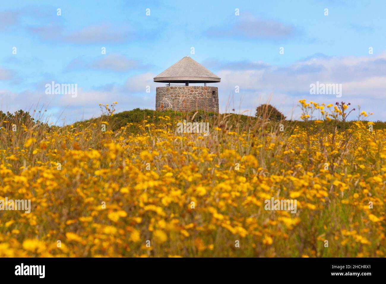 Airfield farm hi-res stock photography and images - Alamy