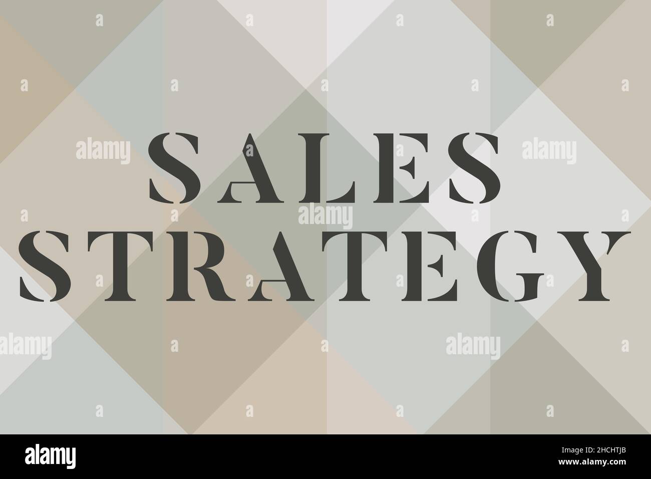 Text showing inspiration Sales Strategy. Word for Plan for reaching and ...