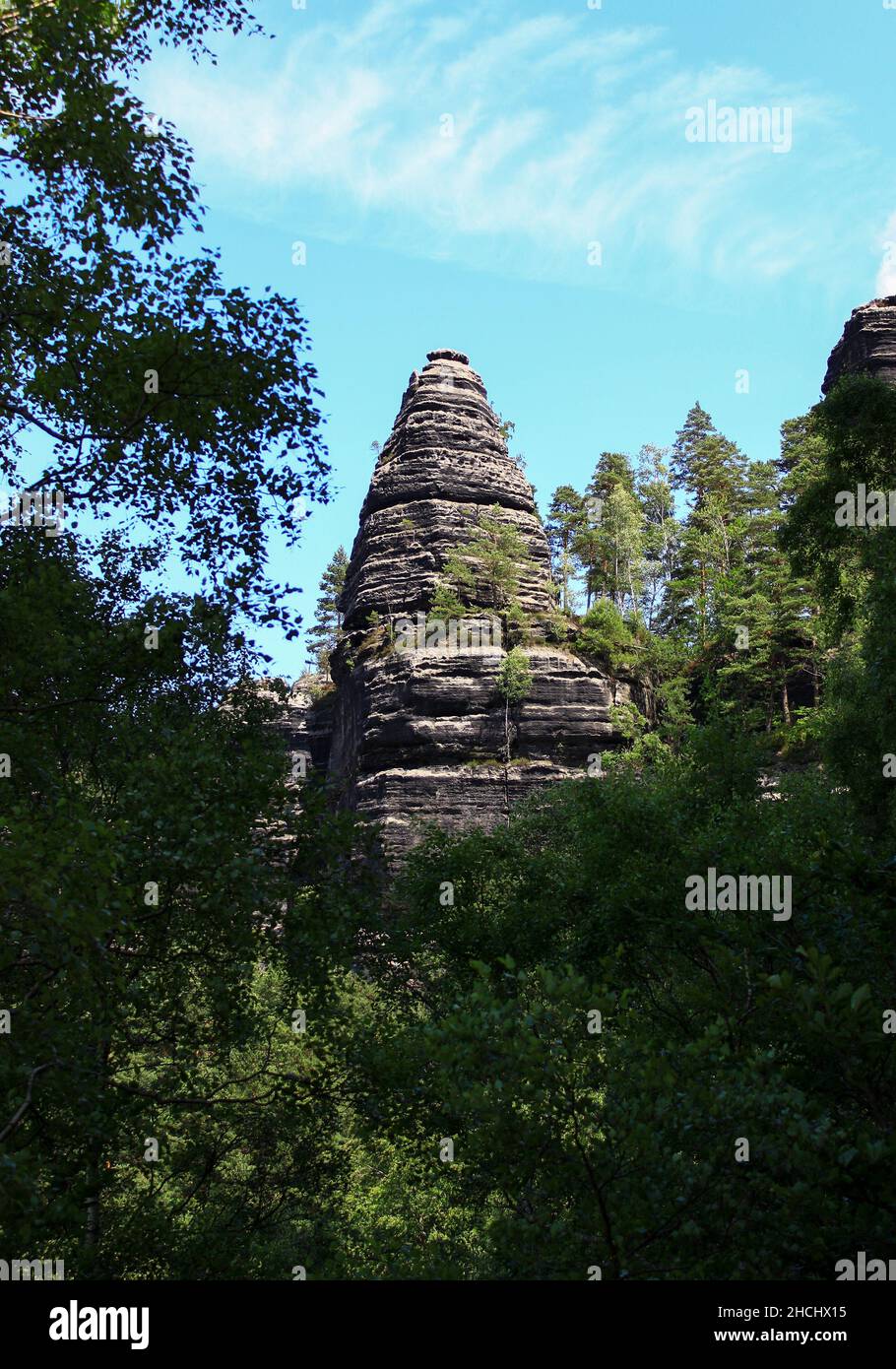 Large wall of white stones in strata in the forest of fir trees under ...