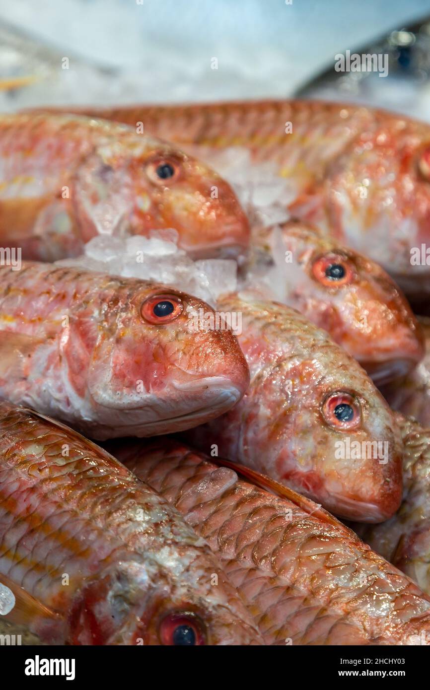 Red mullet on a fishmongers stall Stock Photo - Alamy
