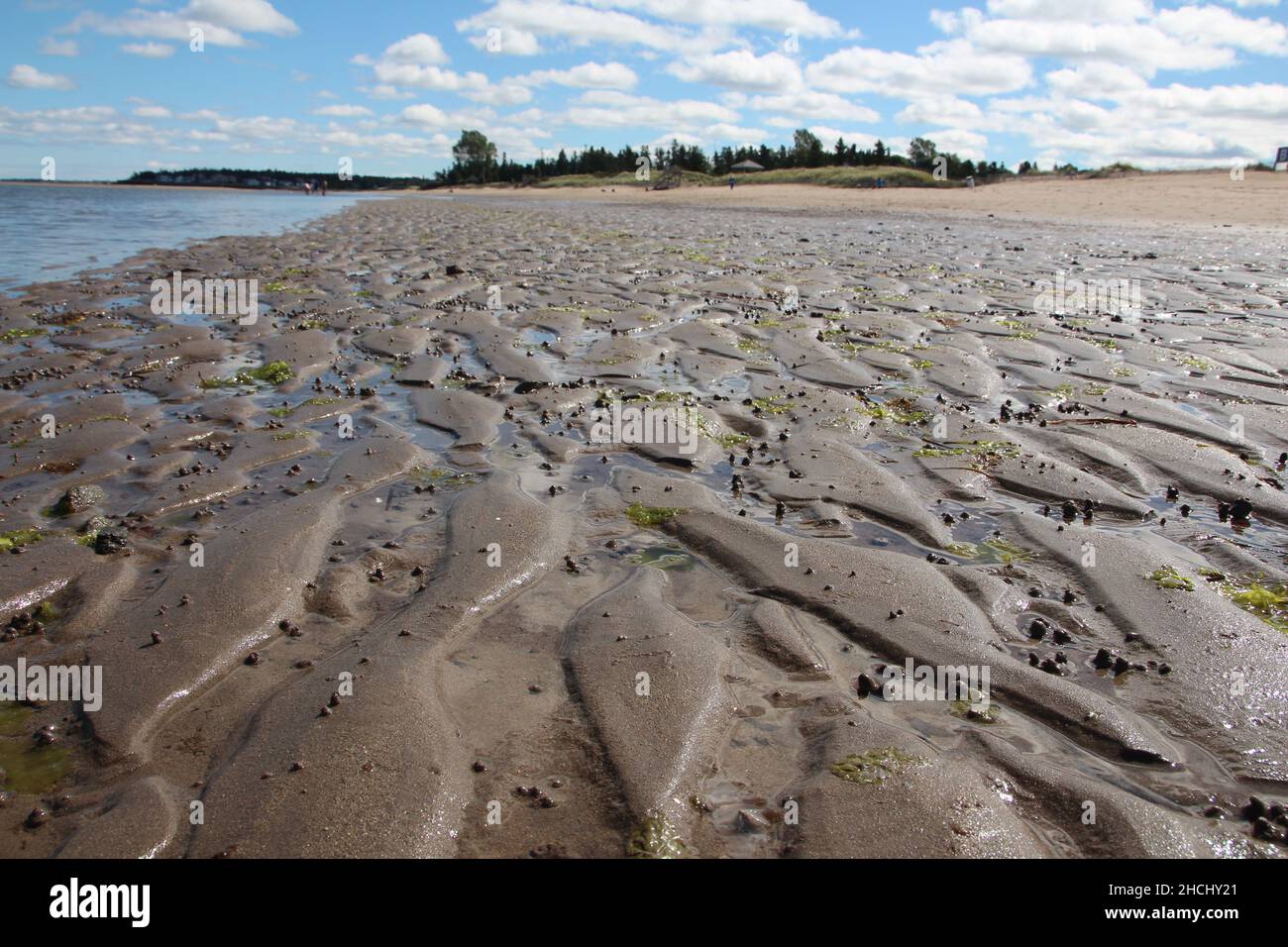 Beautiful view of the water made patterns on the sand on the beach ...