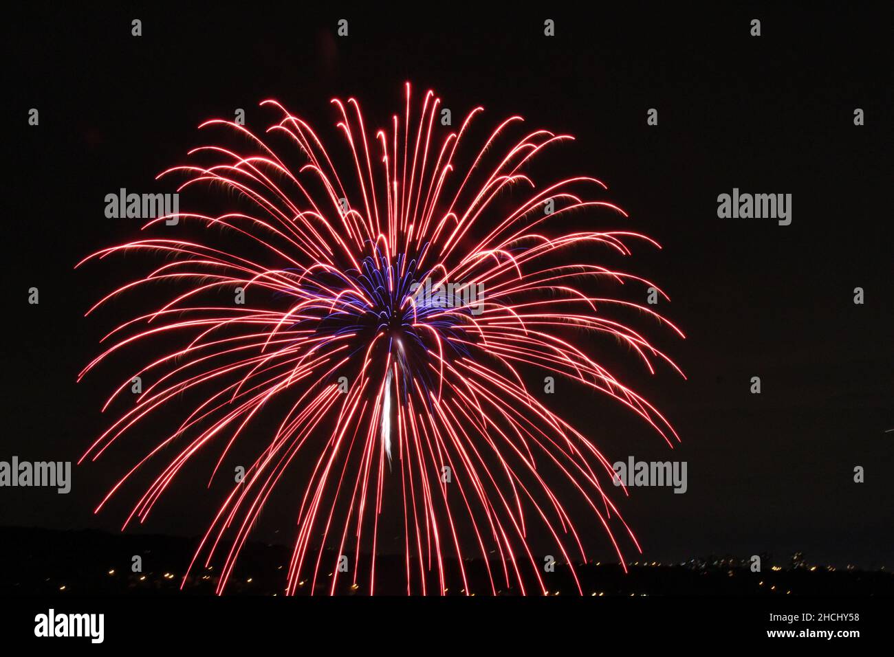 Beautiful view of a firework with blue and pink colors in the night sky ...