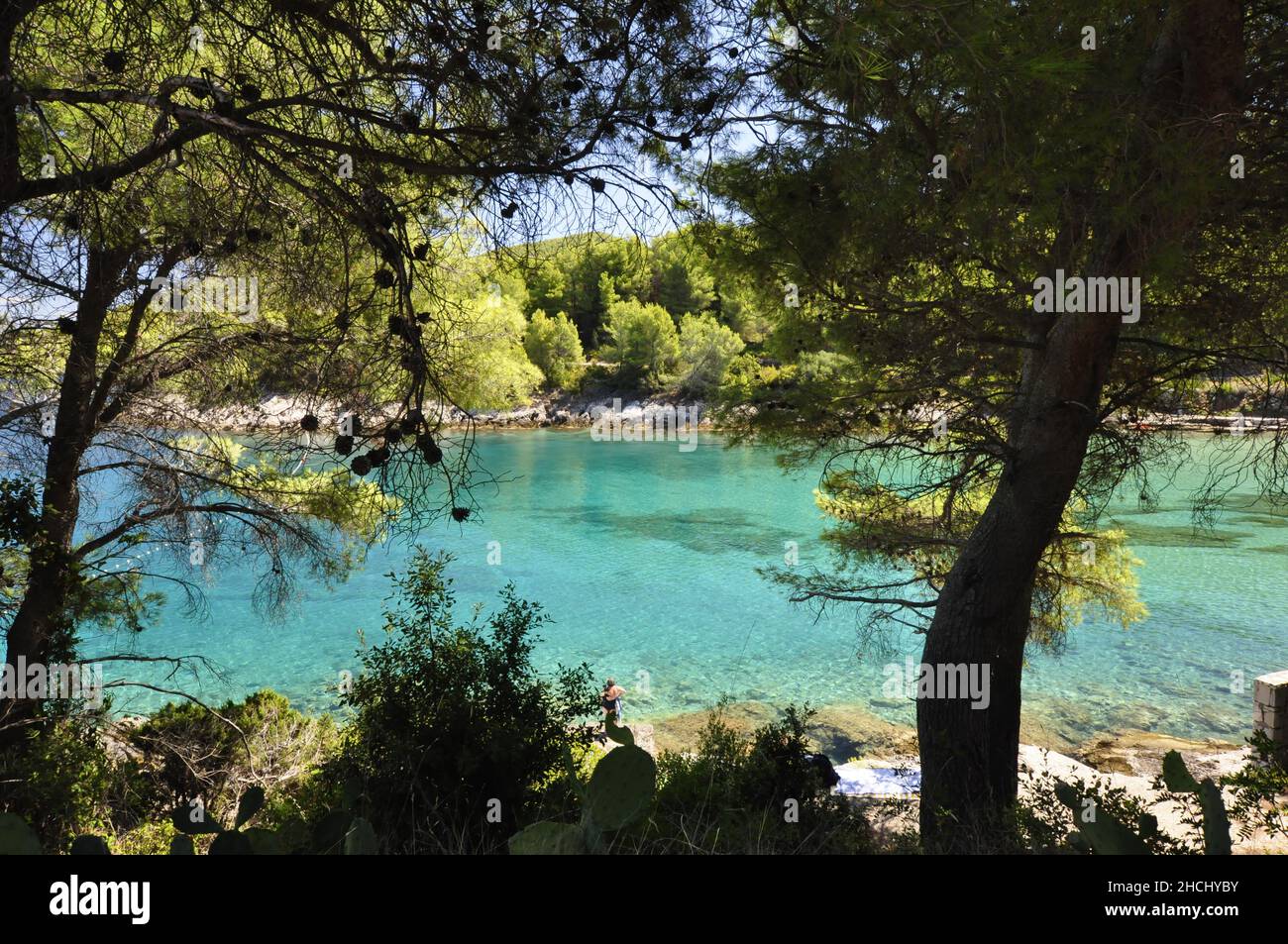 View of a beautiful outdoor lake in a forest surrounded by trees and ...