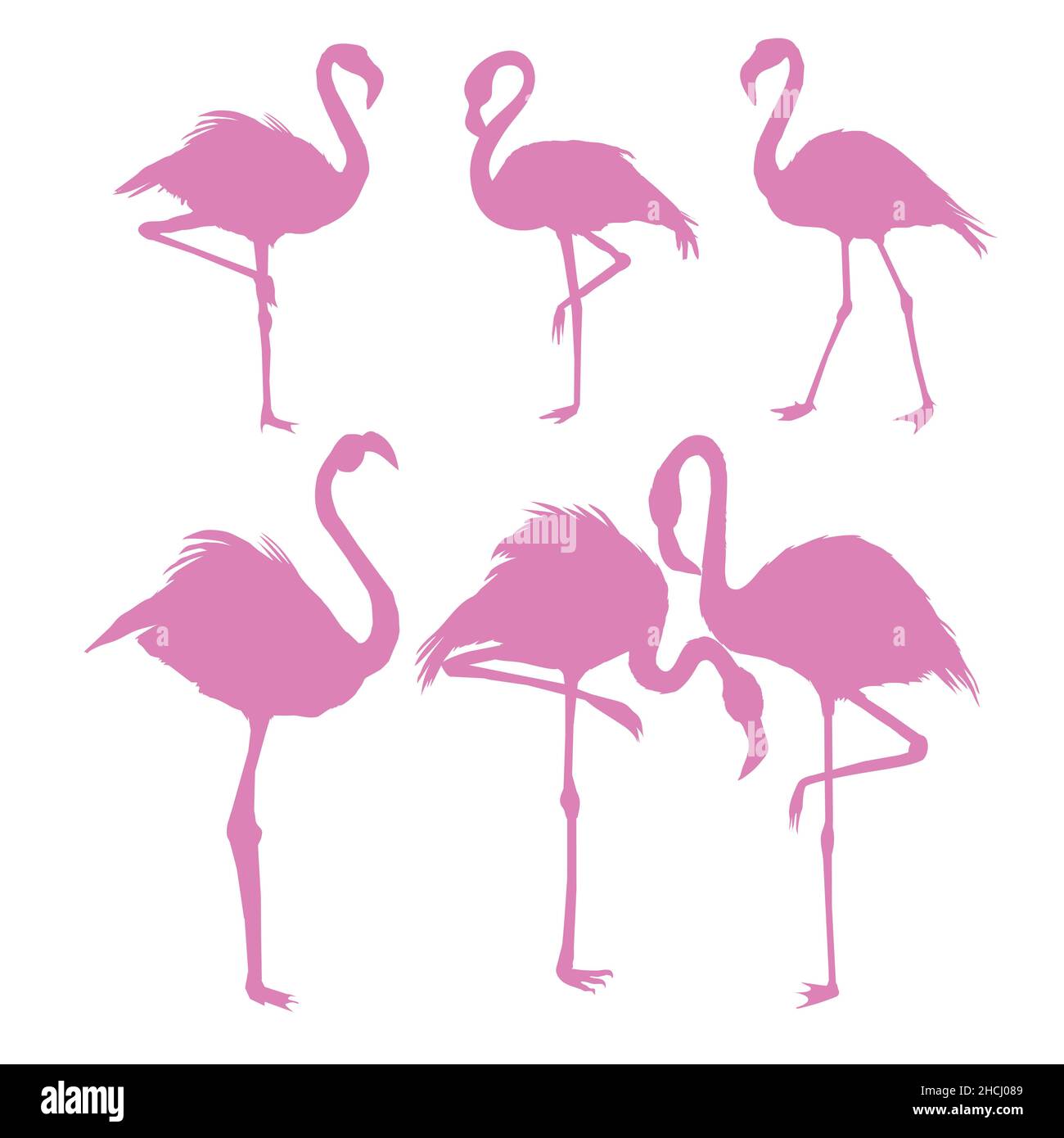 Exotic bird image Cut Out Stock Images & Pictures - Alamy