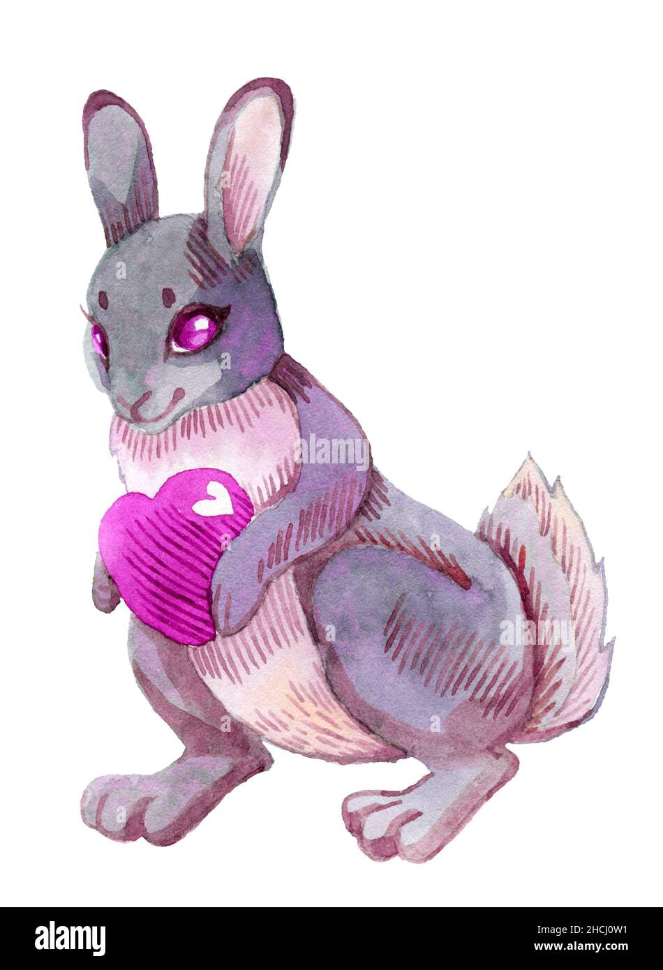 Rabbit Heart Diagram 120101BEZ – Working Heart Rat/Guinea Pig/Rabbit