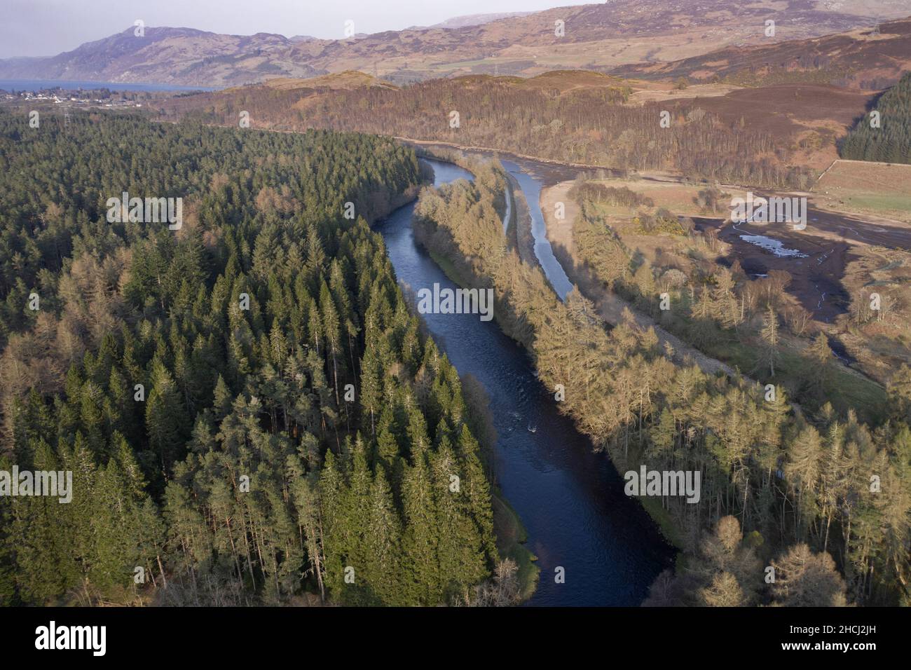 Meandering plant hi-res stock photography and images - Alamy