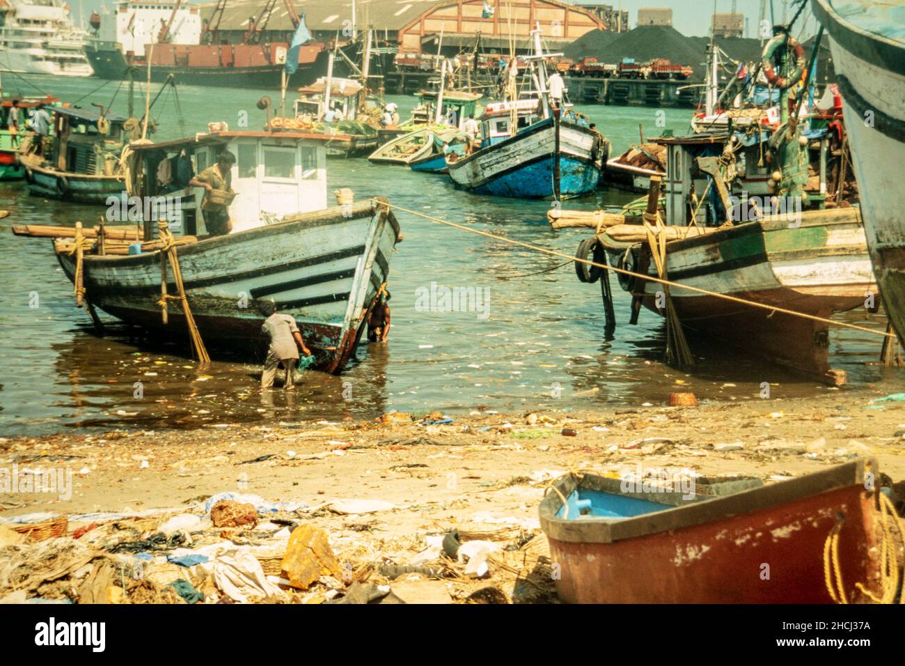 Beauty of rural Goa. High resolution intimate recollection of idyllic holiday location for ...