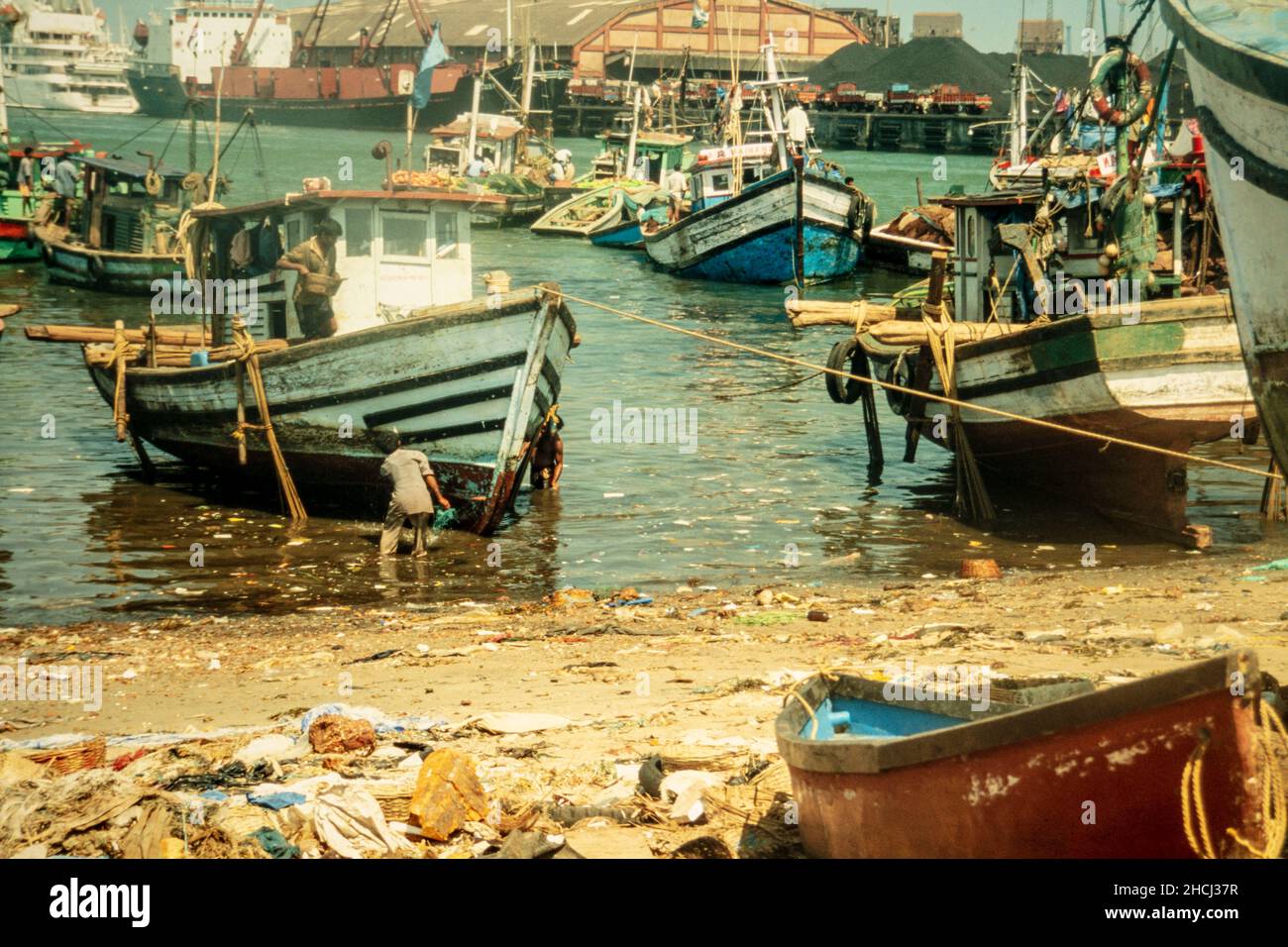 Beauty of rural Goa. High resolution intimate recollection of idyllic ...