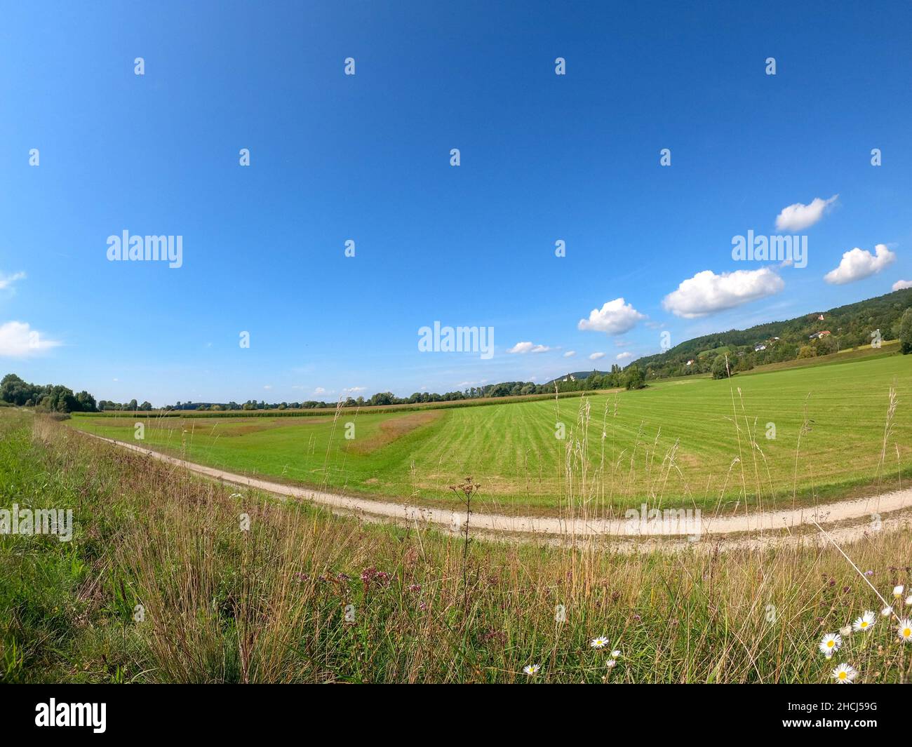 Flat Angle Photography