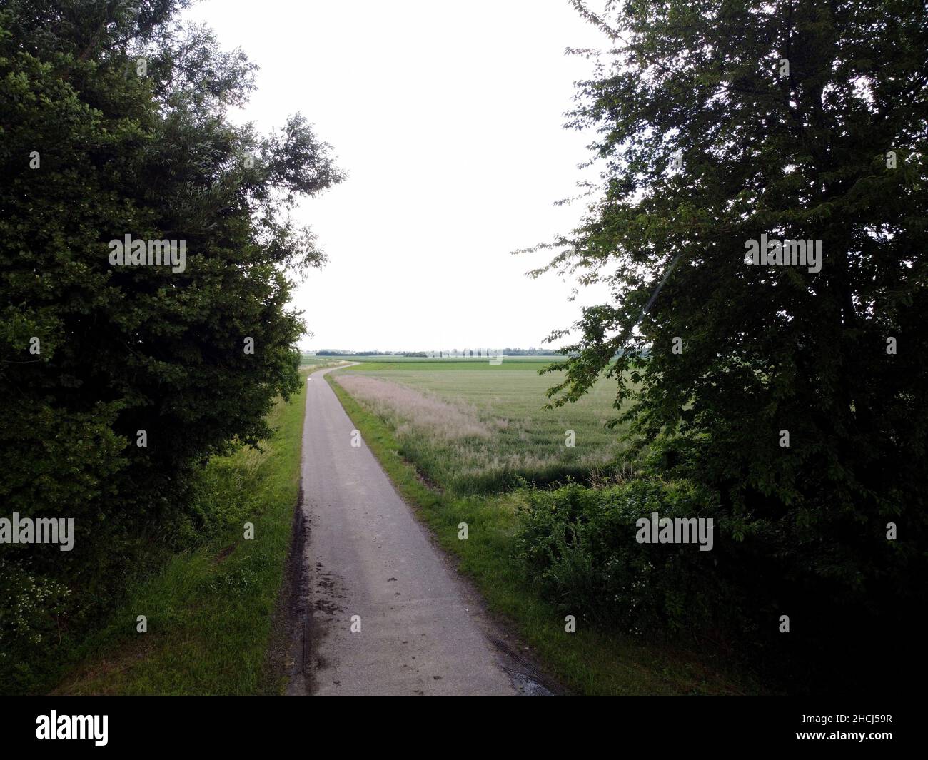 Narrow pathway from the forest to the flat rural areas on a gloomy day ...