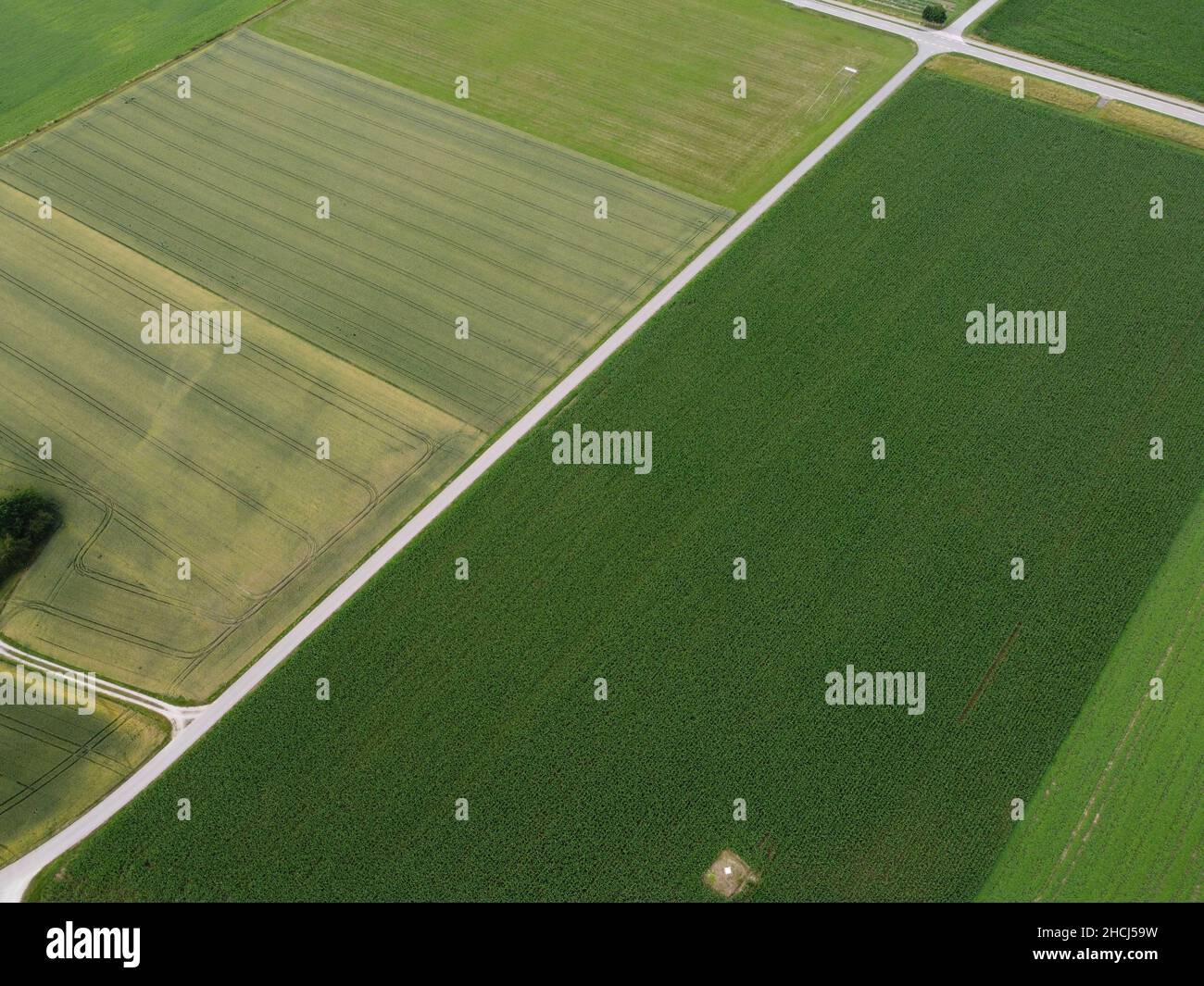 Aerial photo of the flat green and yellow rural areas with strict ...