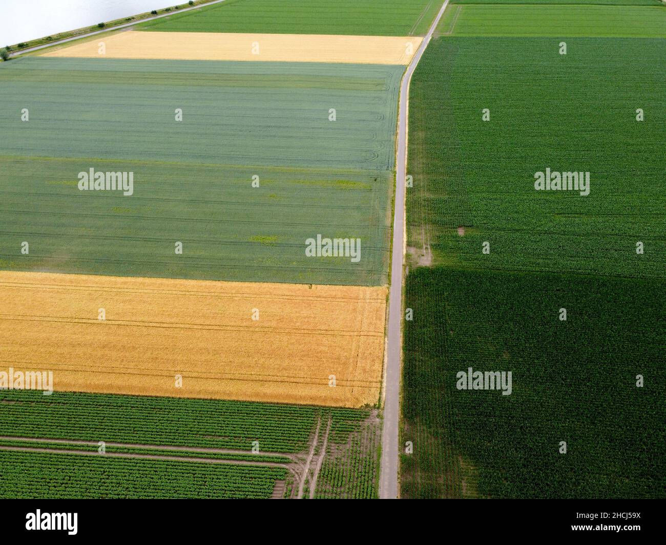 Aerial photo of the flat green and yellow rural areas with strict ...