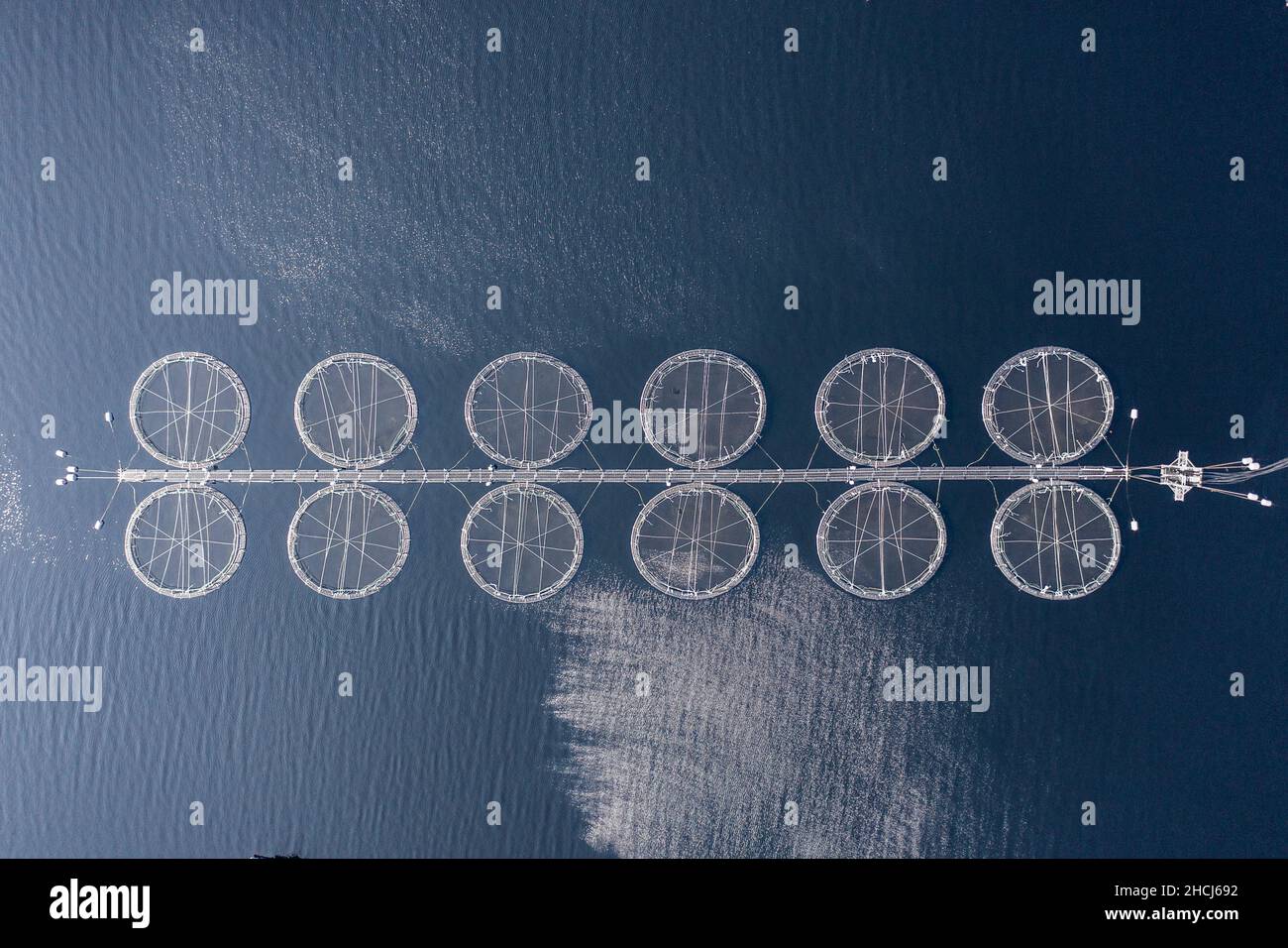 Aquaculture Fish Farm Pens Used to Keep Farmed Fish Stock Photo - Alamy