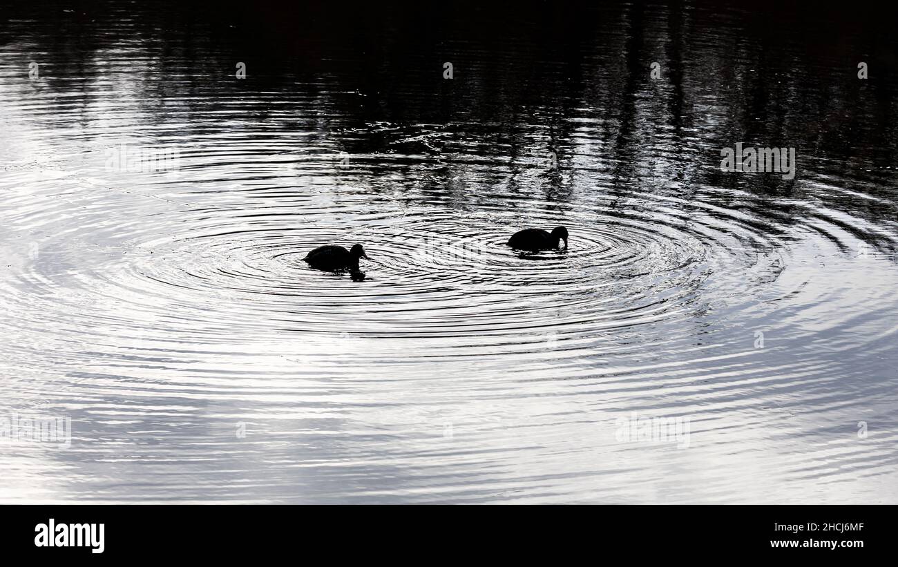 Interference pattern wave hi-res stock photography and images - Alamy