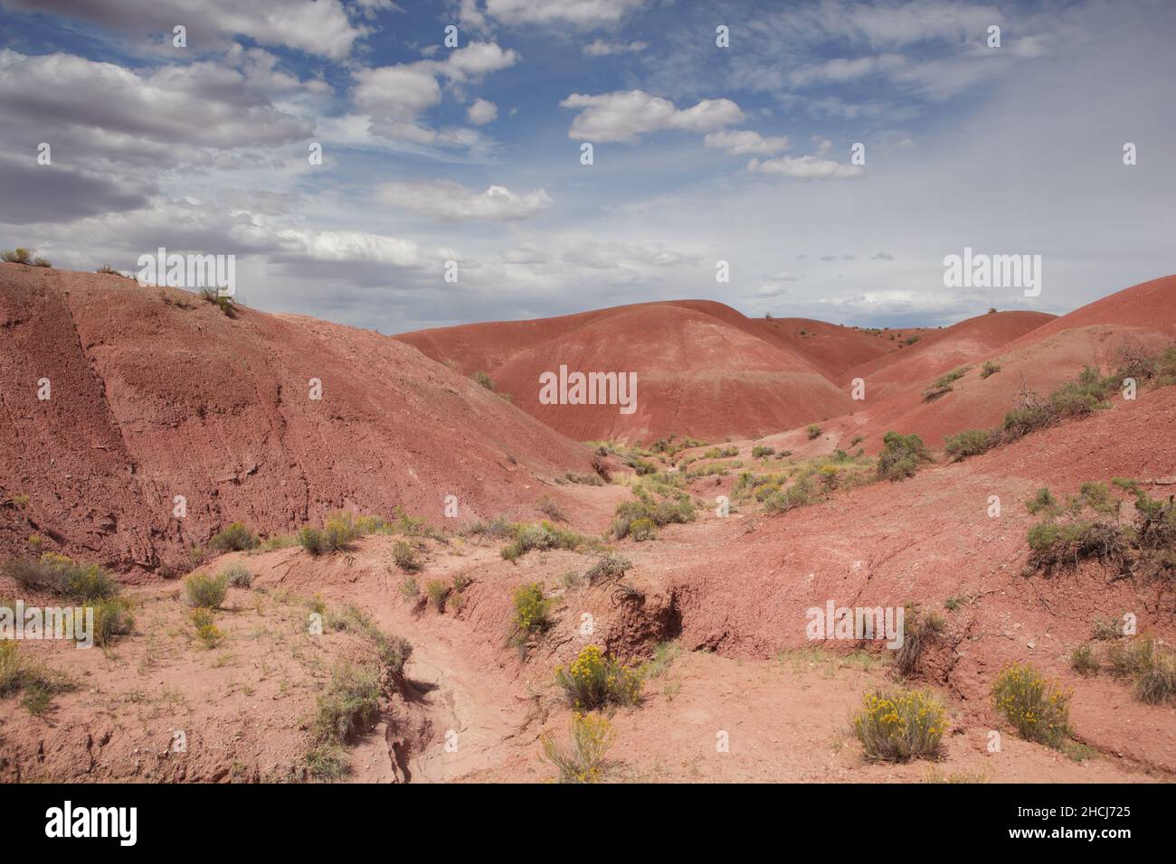 View from Tiponi Point, of the arid barren Painted Desert badlands at ...