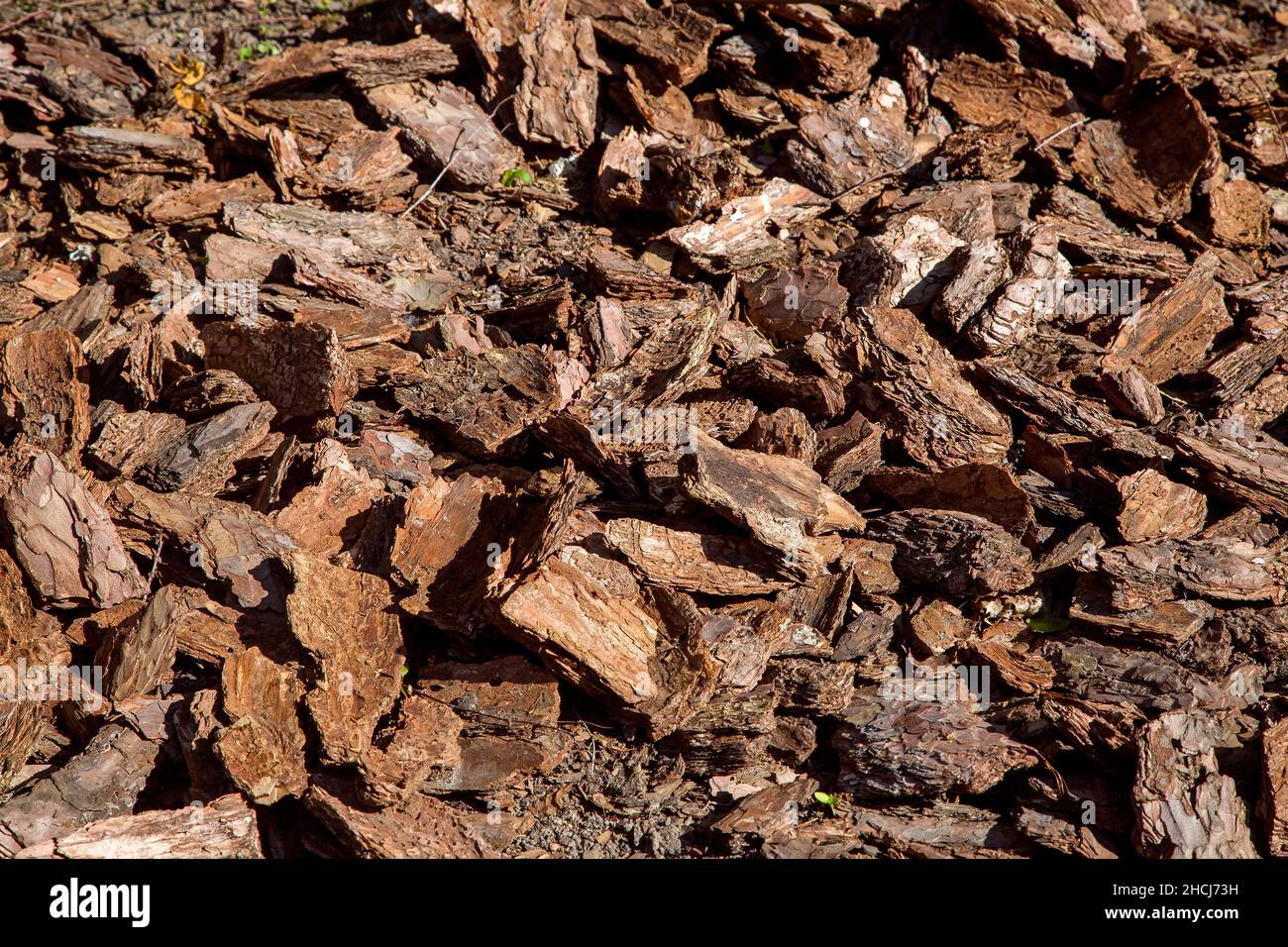 pine tree bark mulching heap of pieces of wood compost for gardening ...