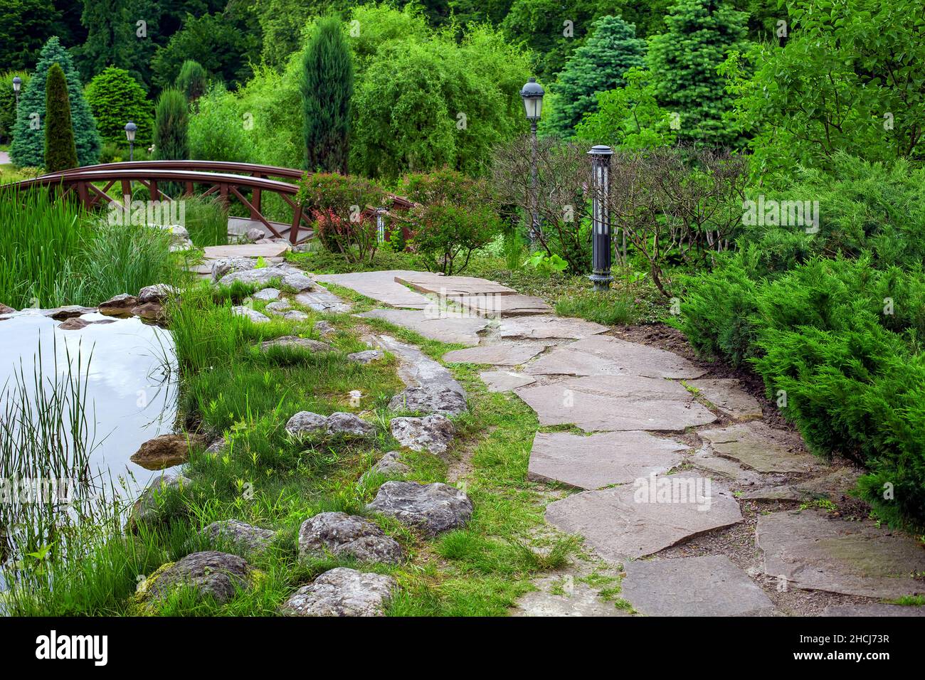 natural stone path along pond with water and reeds among green backyard ...