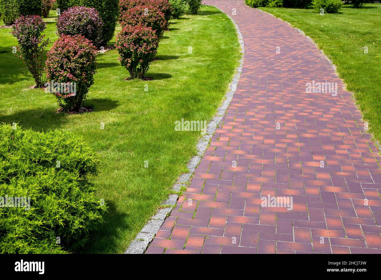 curved stone tile pavement curved path in park landscaped with green ...