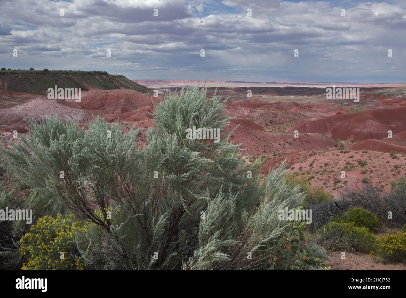 View from Tiponi Point of the arid barren Painted Desert badlands at ...
