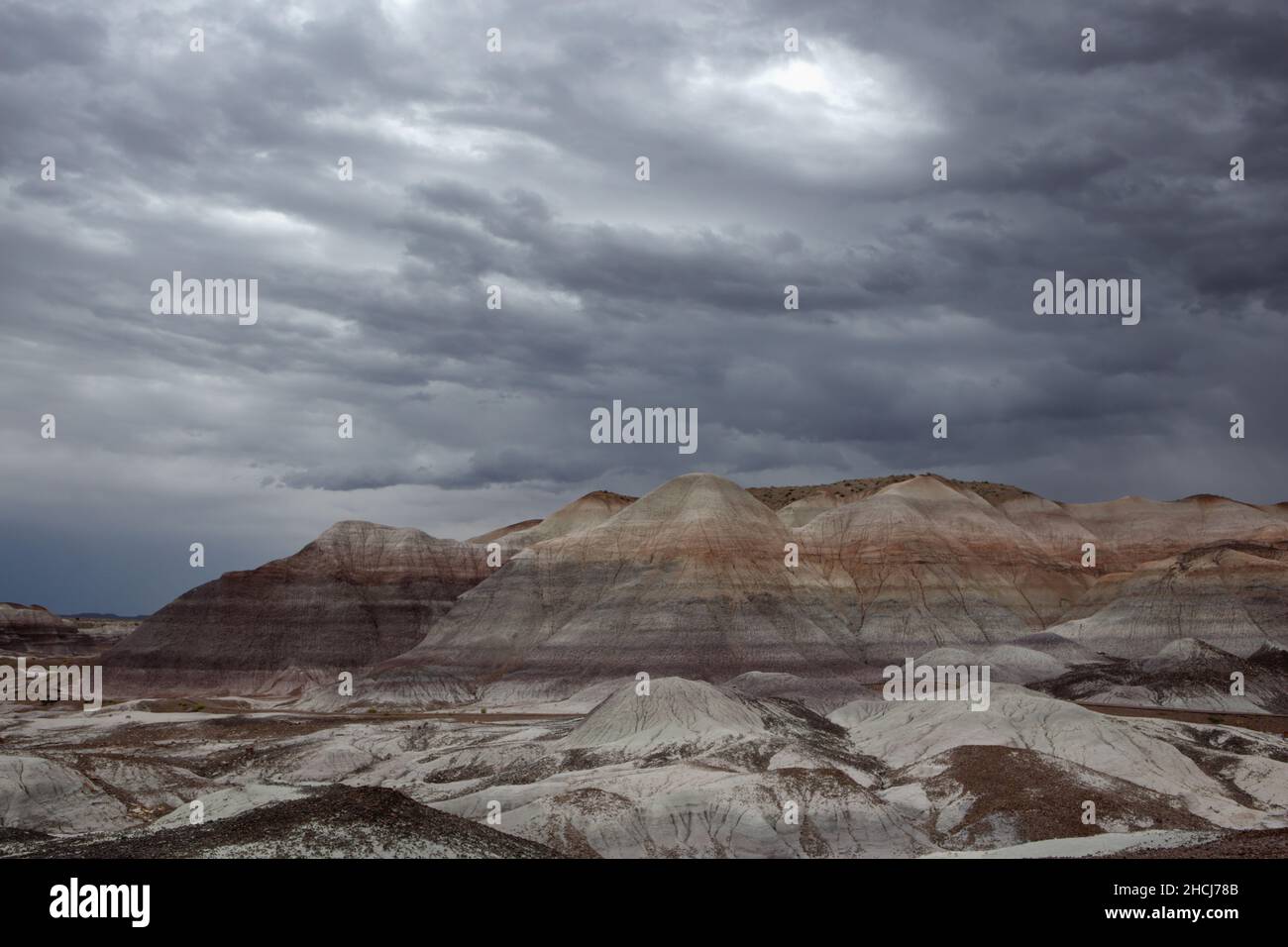 Eroded mudstone strata at Blue Mesa, Petrified Forest National Park in ...