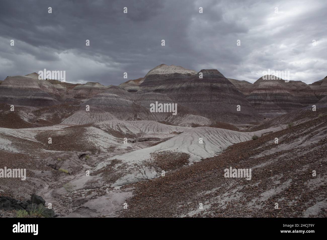 Eroded mudstone strata at Blue Mesa, Petrified Forest National Park in ...