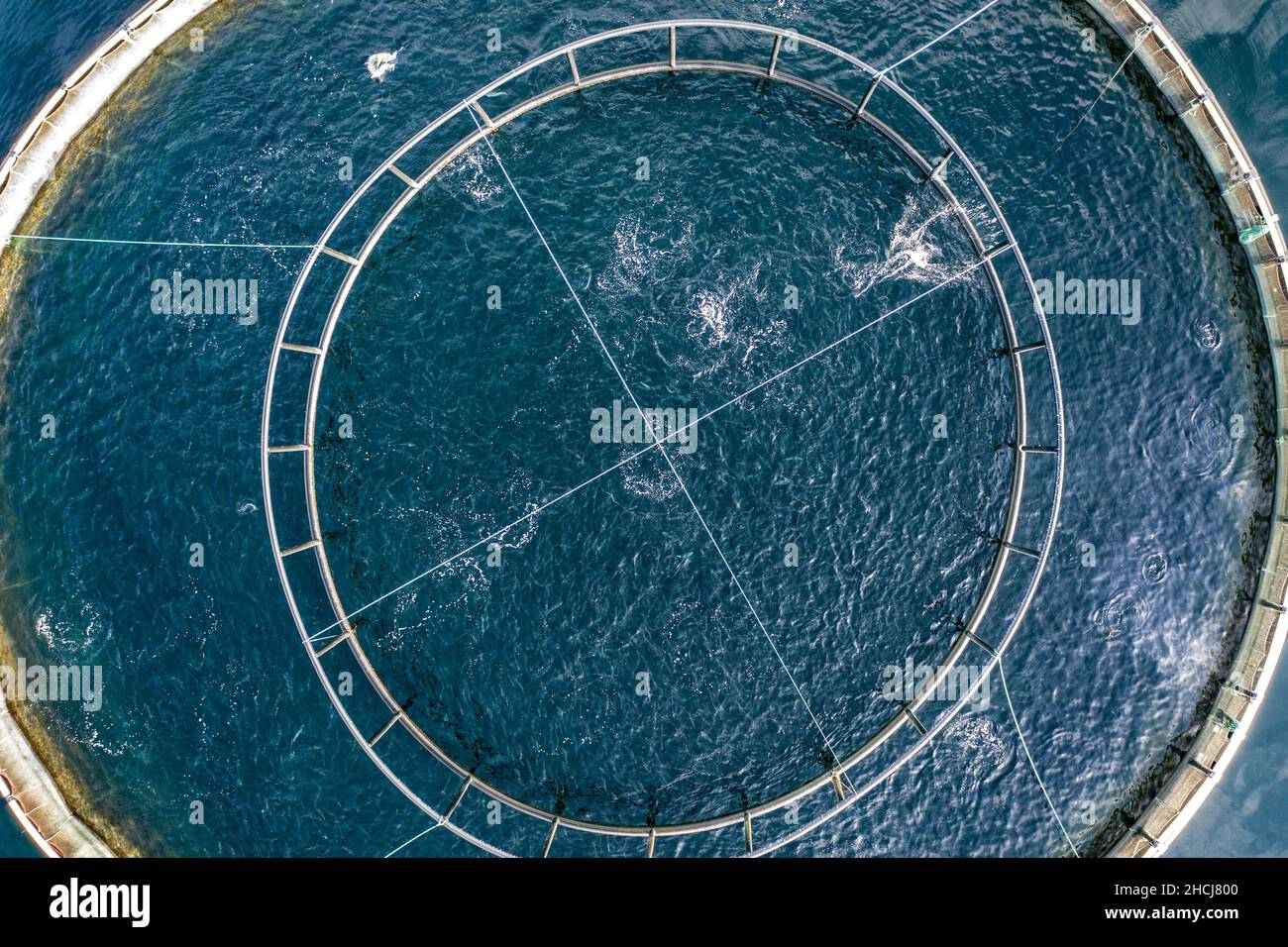 Aquaculture Fish Farm Nets Aerial View Stock Photo - Alamy