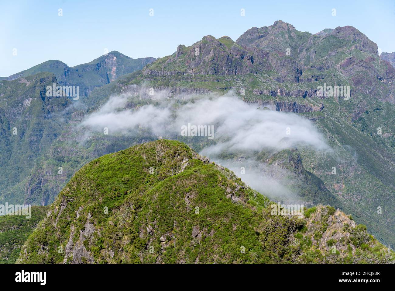 Pinaculo madeira portugal hi-res stock photography and images - Alamy