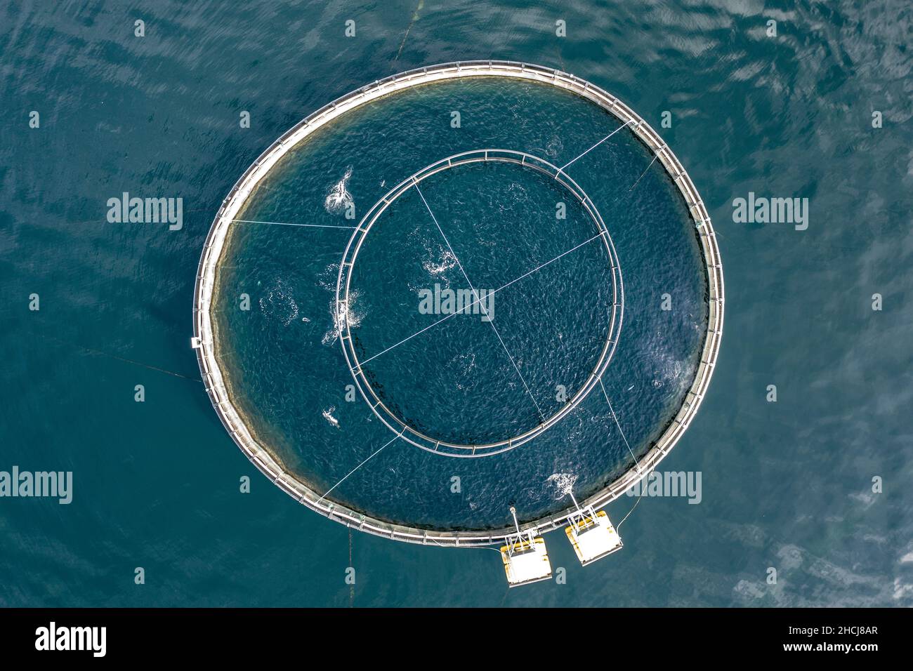 Aquaculture Fish Farm Nets Aerial View Stock Photo - Alamy