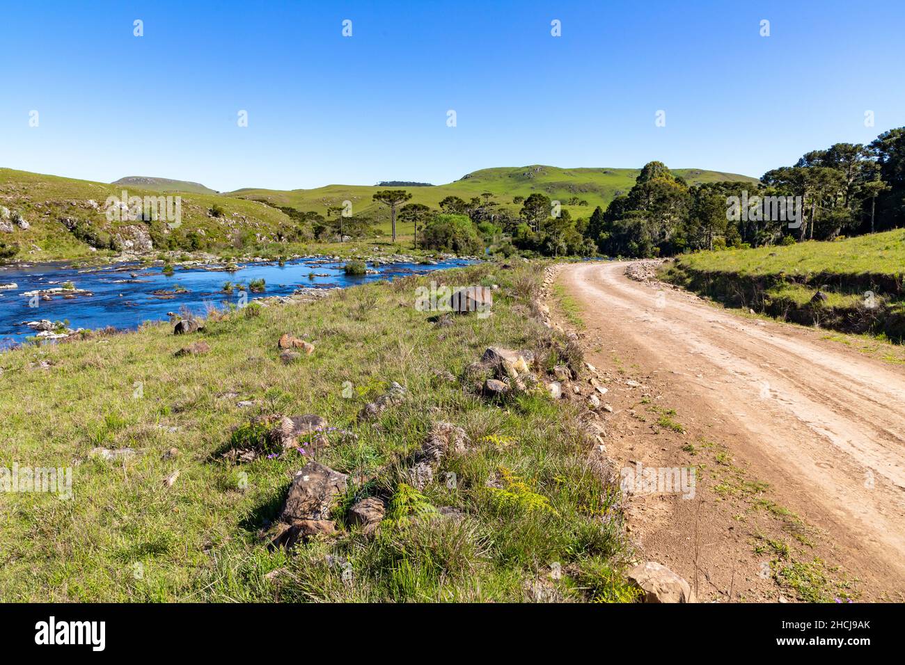 Dirty road with Araucaria forest, River, rocks and fields over ...