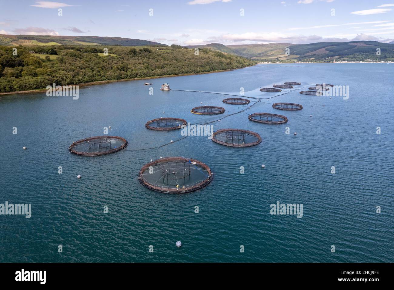 Aquaculture Fish Farm Pens Used to Keep Farmed Fish Stock Photo - Alamy